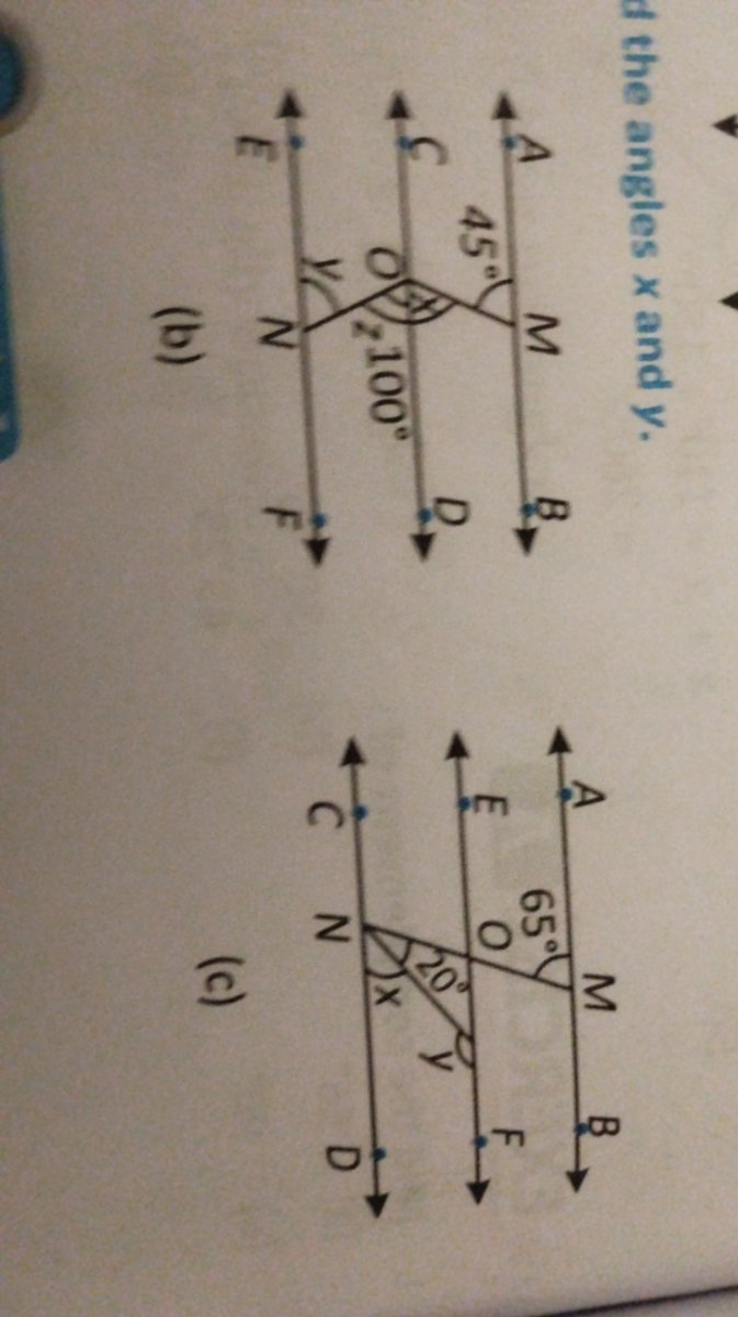 Find the angles x and y for the given diagrams: (b) Diagram b (c) Diagr..