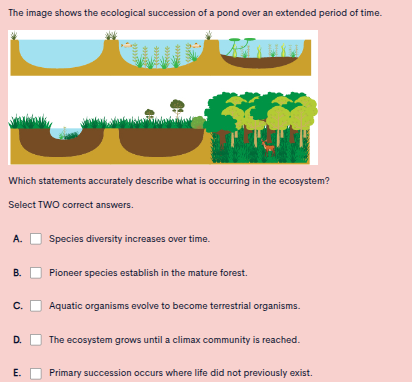 The image shows the ecological succession of a pond over an extended peri..