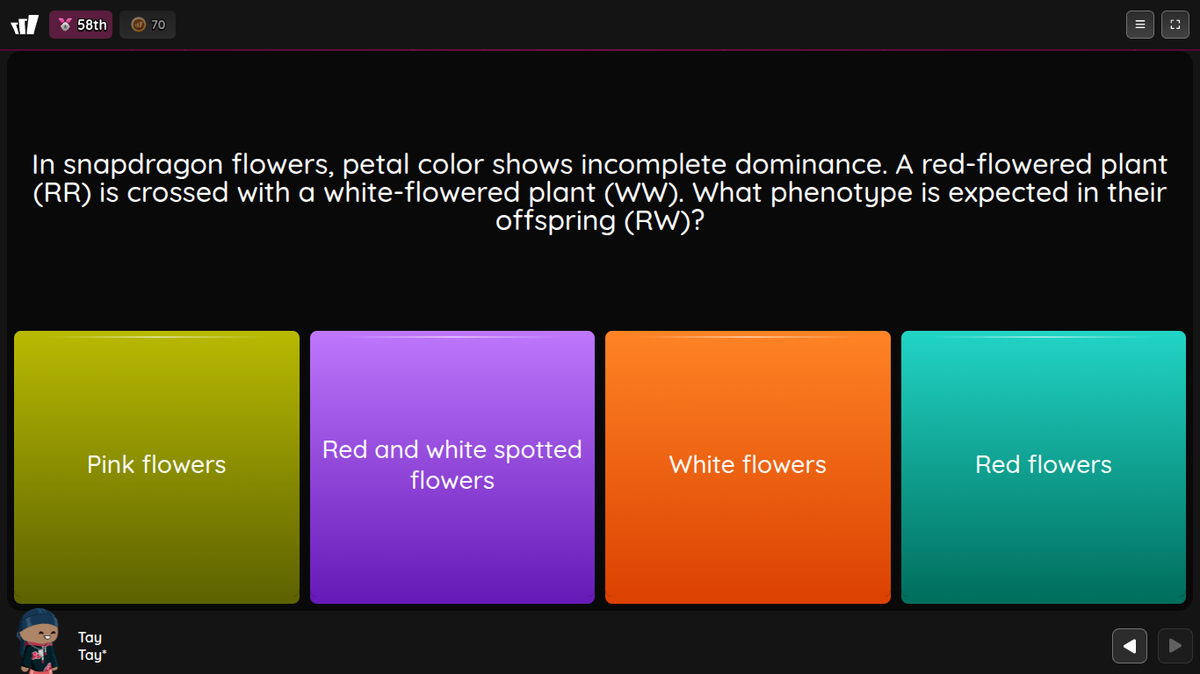 In snapdragon flowers, petal color shows incomplete dominance. A red-flow..