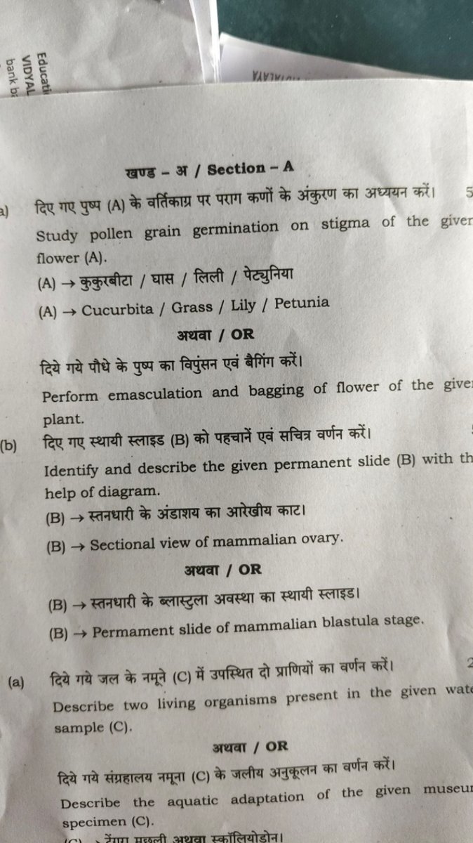 खण्ड - अ / Section - A a) दिए गए पुष्प (A) के वर्तिकाग्र पर पराग कणों के..