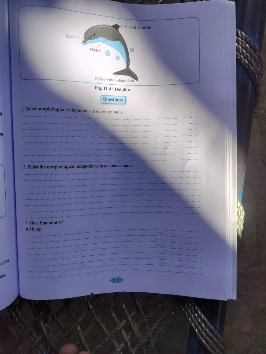 Enlist morphological adaptations in desert animals. Enlist the morphologi..