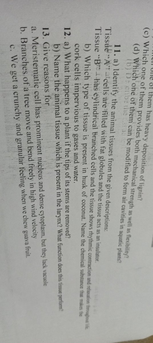 a) Identify the animal tissues from the given descriptions: Tissue "A" ce..