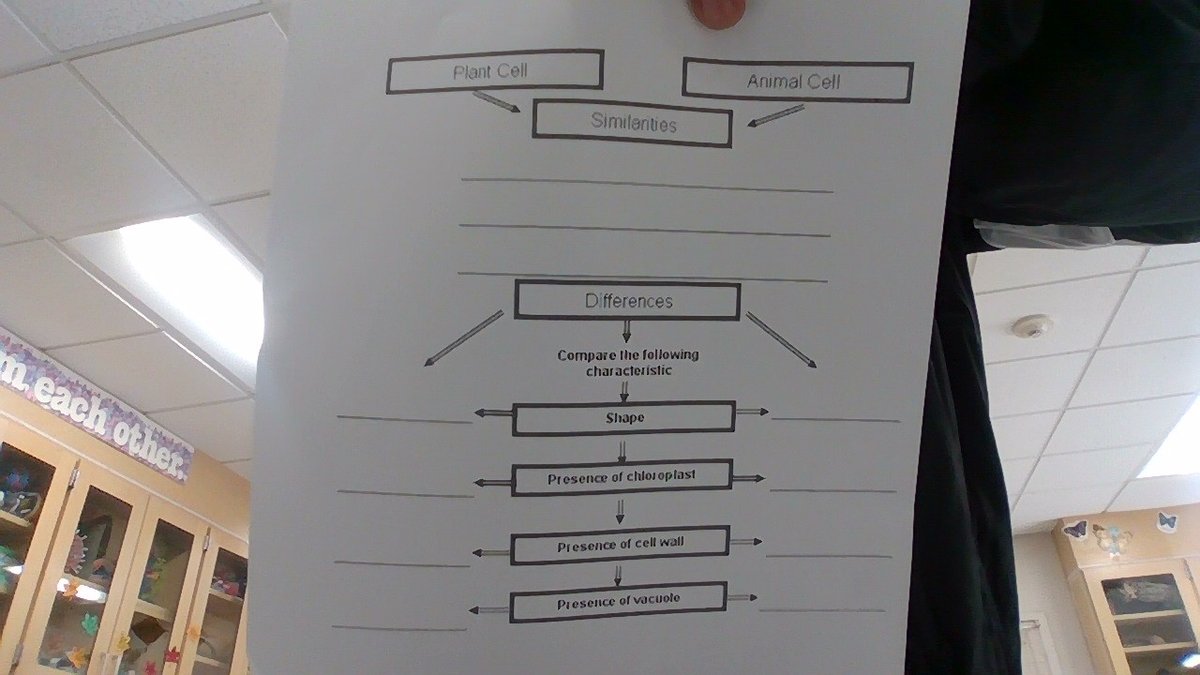 The provided image is a graphic organizer comparing Plant Cells and Anima..