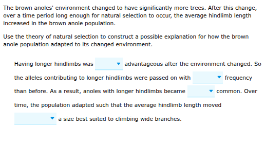 The brown anoles' environment changed to have significantly more trees. A..