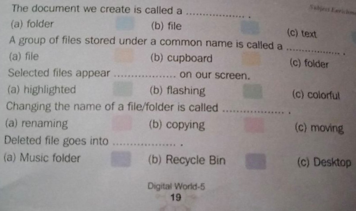 The document we create is called a __. (a) folder (b) file (c) text A gr..