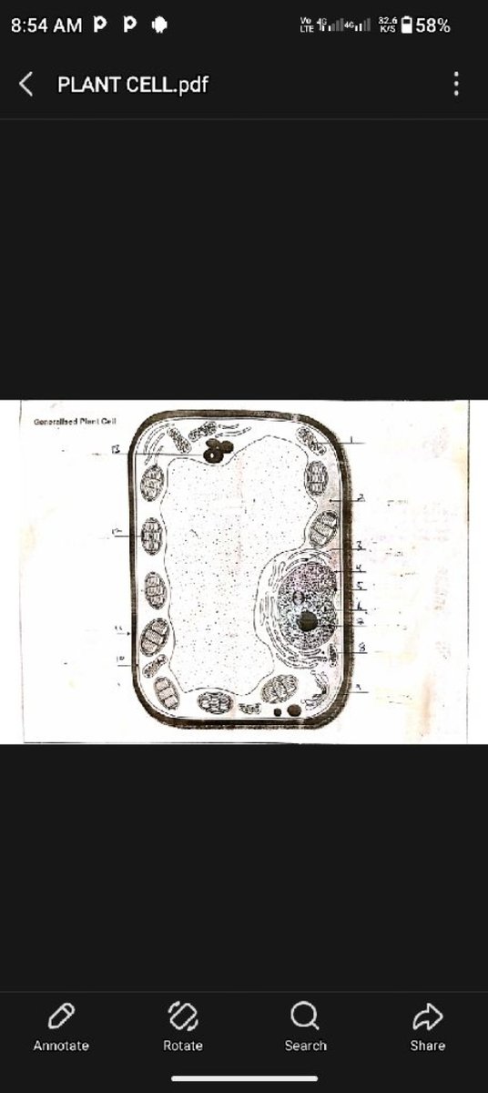 The image displays a diagram of a generalized plant cell. The task is to