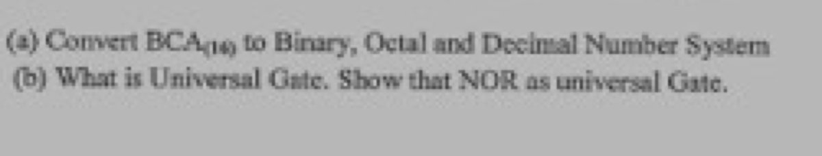 (a) Convert BCA(14) to Binary, Octal and Decimal Number System (b) What i..