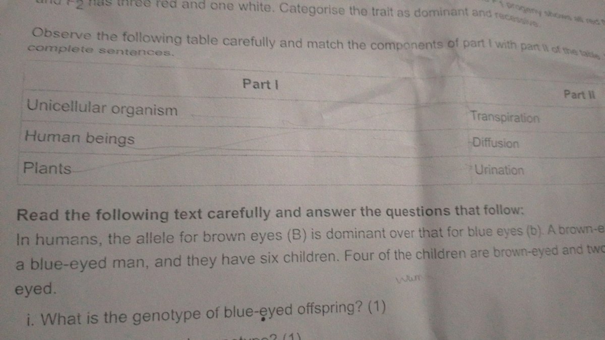 Observe the following table carefully and match the components of part I