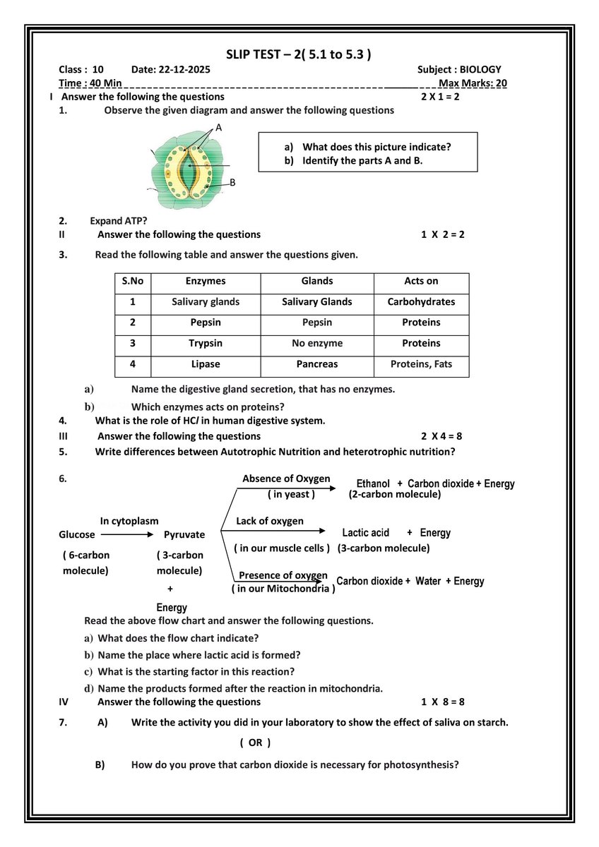 SLIP TEST – 2 (5.1 to 5.3) Class: 10 Date: 22-12-2025 Subject: BIOLOGY T..