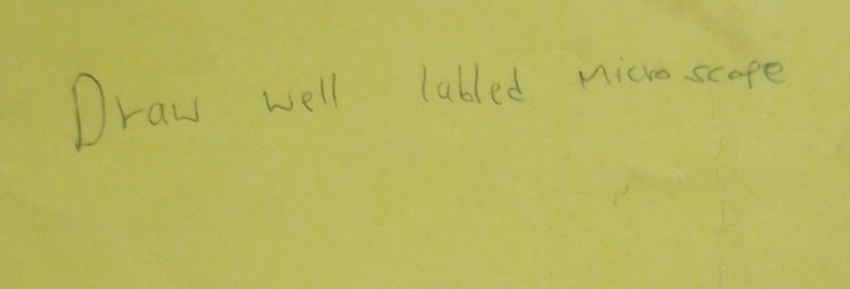 Draw a well-labeled microscope. | Filo