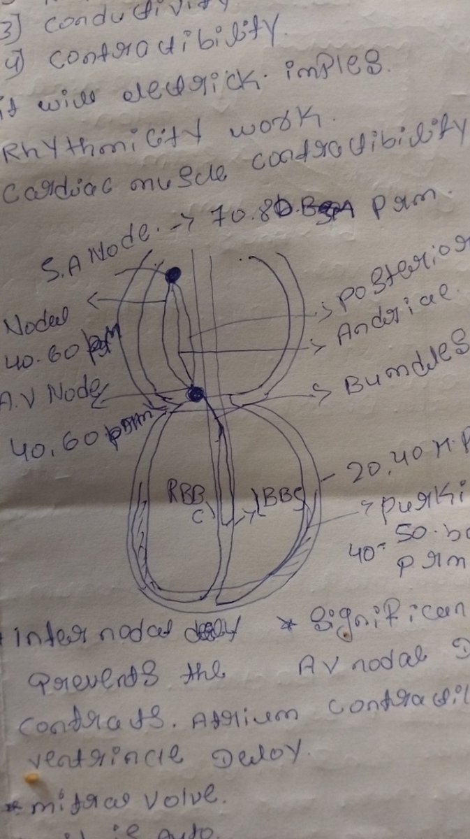 The provided image contains handwritten notes and a diagram related to th..