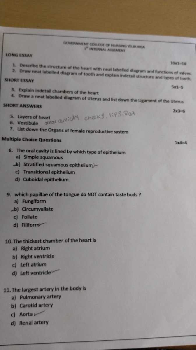 LONG ESSAY Describe the structure of the heart with neat labelled diagram..