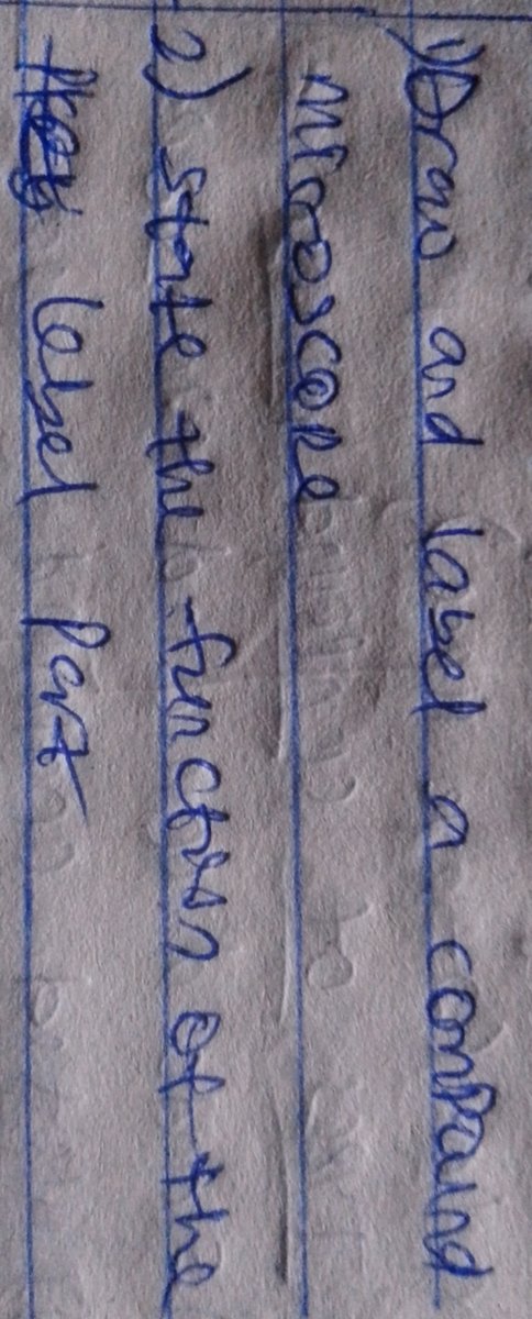 1) Draw and label a compound microscope. 2) State the function of the lab..