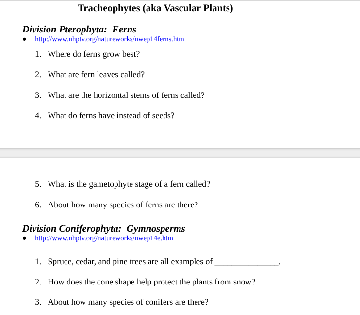 Tracheophytes (aka Vascular Plants) Division Pterophyta: Ferns Where do..