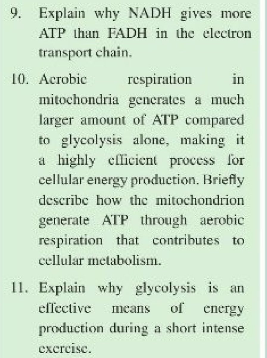 Explain why NADH gives more ATP than FADH in the electron transport chain..