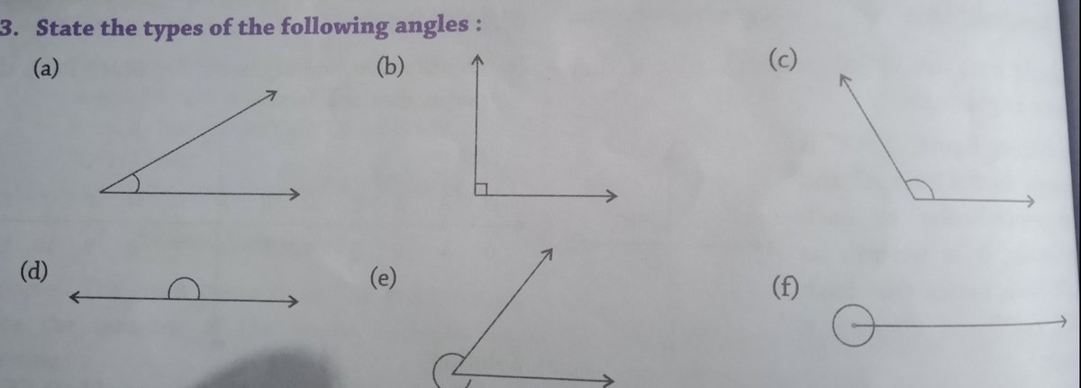 State the types of the following angles: (a) Diagram of an acute angle D..
