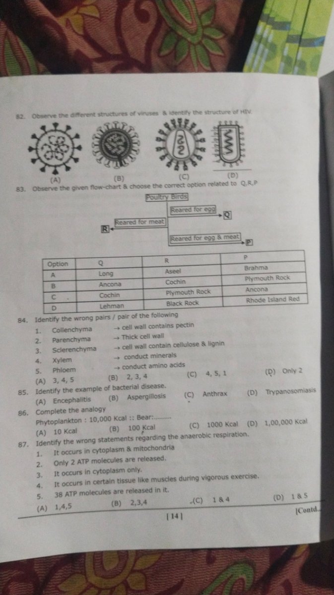Observe the different structures of viruses & identify the structure of H..