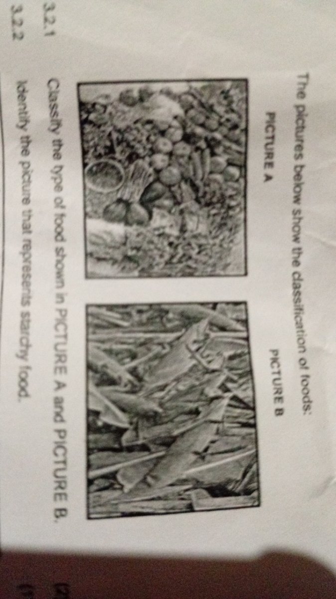 The pictures below show the classification of foods: PICTURE A (Image of..