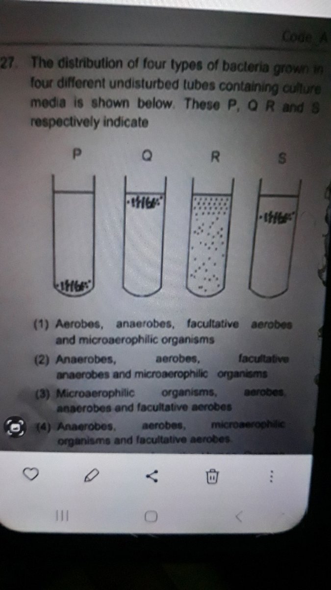 The distribution of four types of bacteria grown in four different undist..