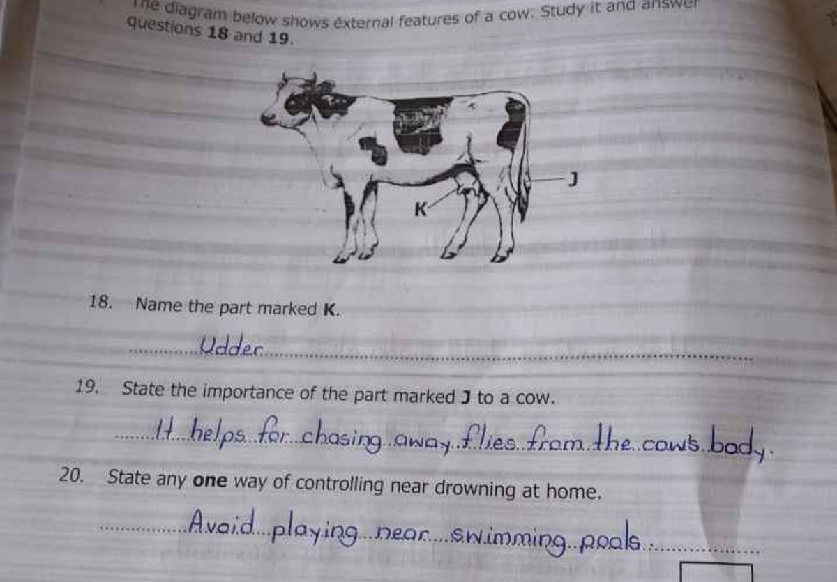 The diagram below shows external features of a cow. Study it and answer q..