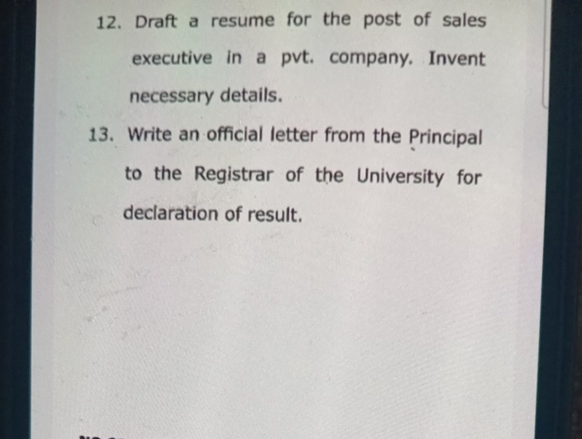Draft a resume for the post of sales executive in a pvt. company. Invent