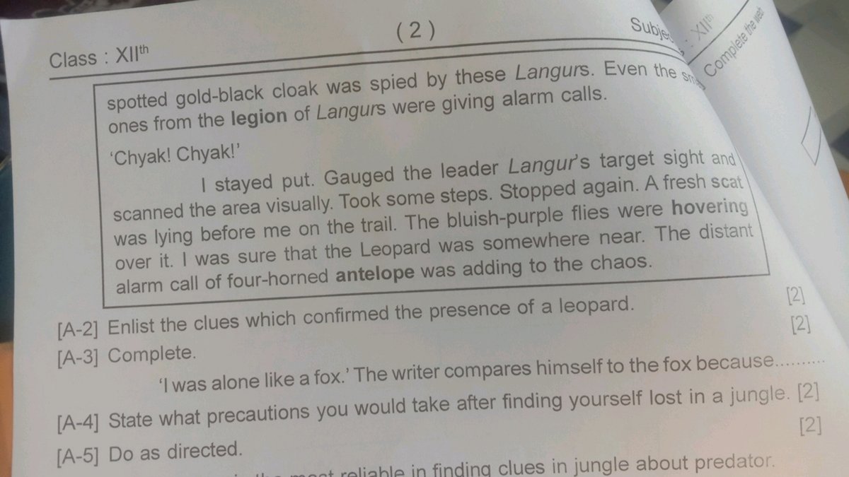 Class: XIIth spotted gold-black cloak was spied by these Langurs. Even t..
