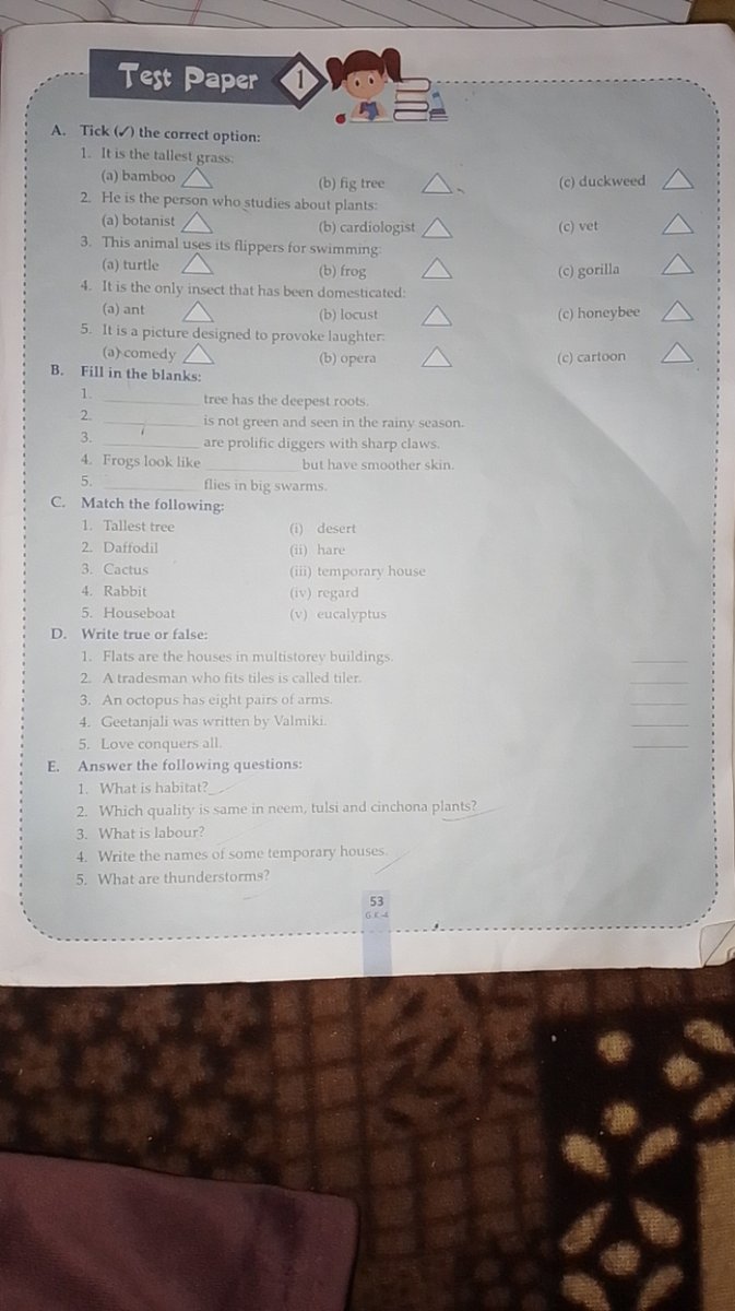 Here's a test paper with multiple sections: A. Tick ( ) the correct opti..
