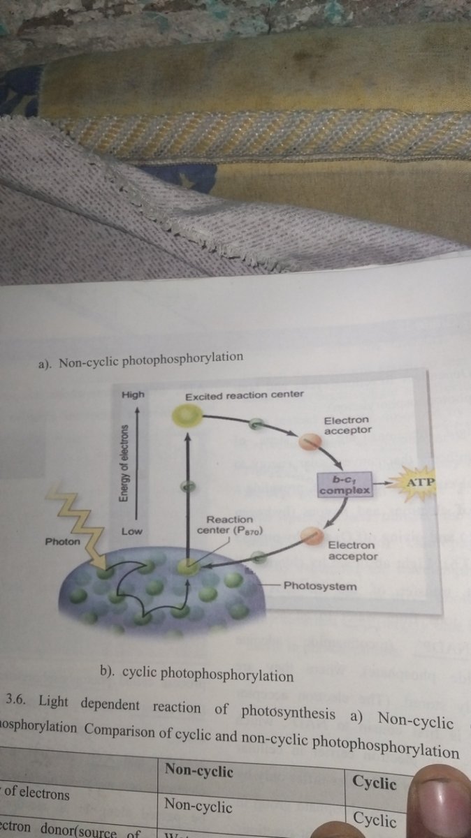 3.6. Light dependent reaction of photosynthesis a) Non-cyclic photophosph..