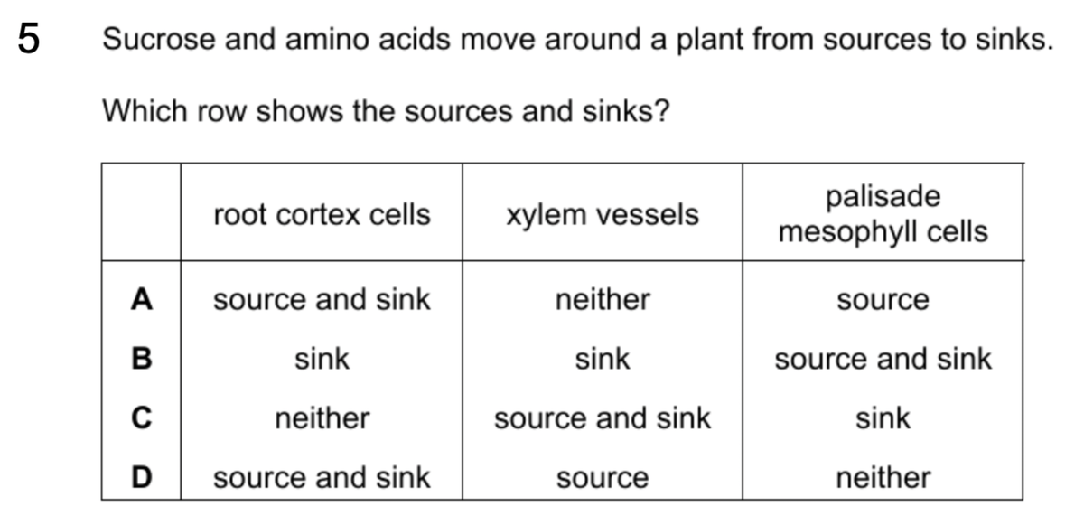 Sucrose and amino acids move around a plant from sources to sinks. Which..