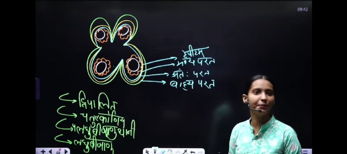 The image shows a diagram related to the structure of an anther. It label..