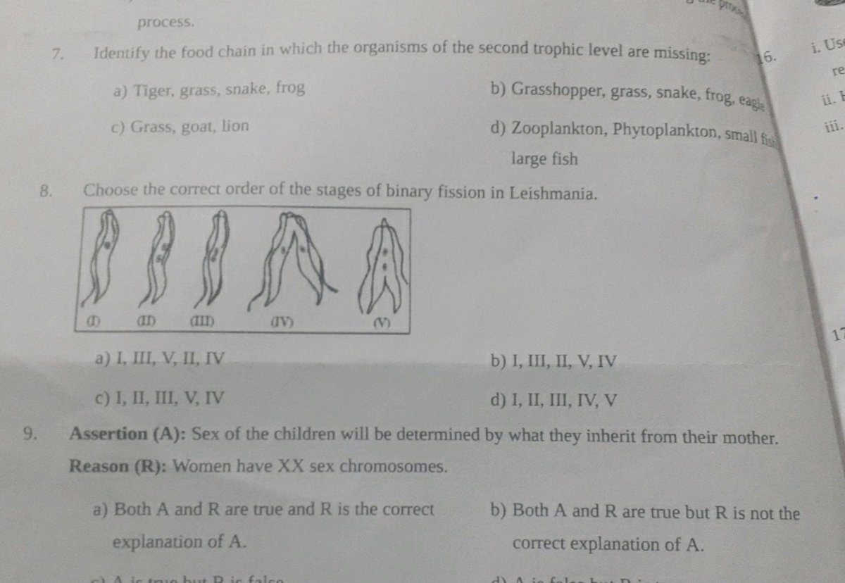 Choose the correct order of the stages of binary fission in Leishmania.