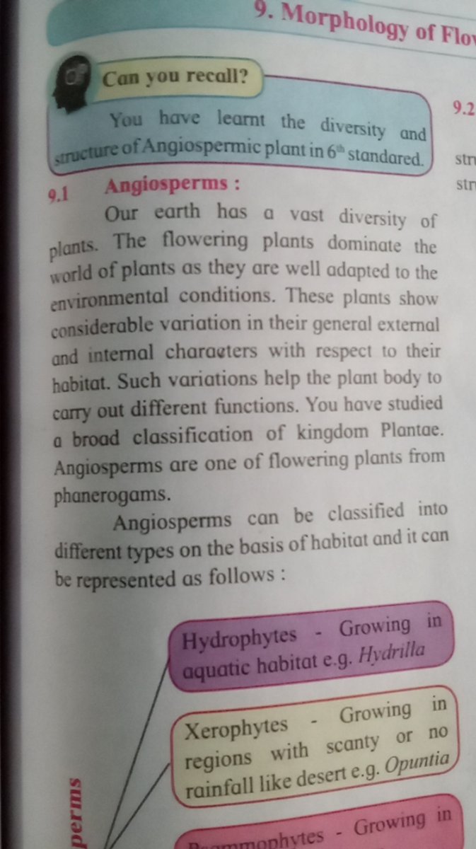 9. Morphology of Flowering Plants Can you recall? You have learnt the di..