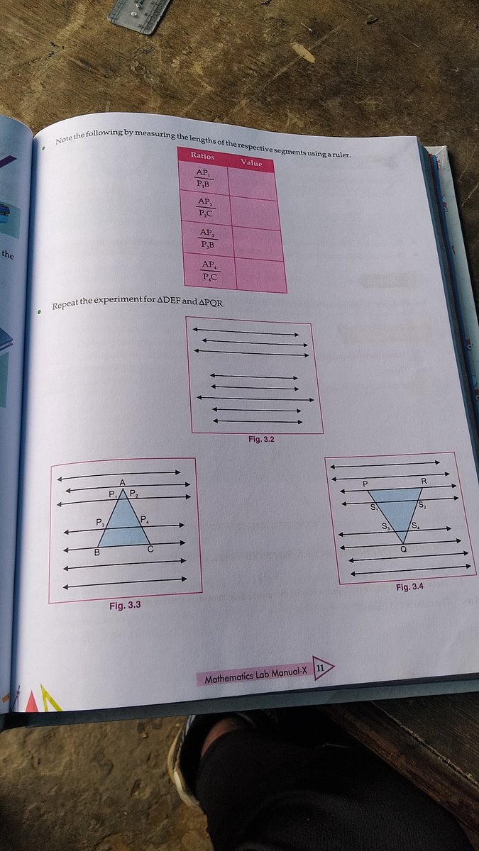 Note the following by measuring the lengths of the respective segments us..