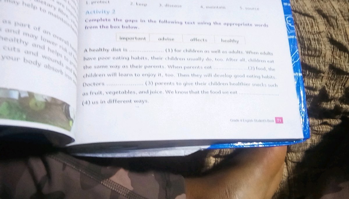 Complete the gaps in the following text using the appropriate words from