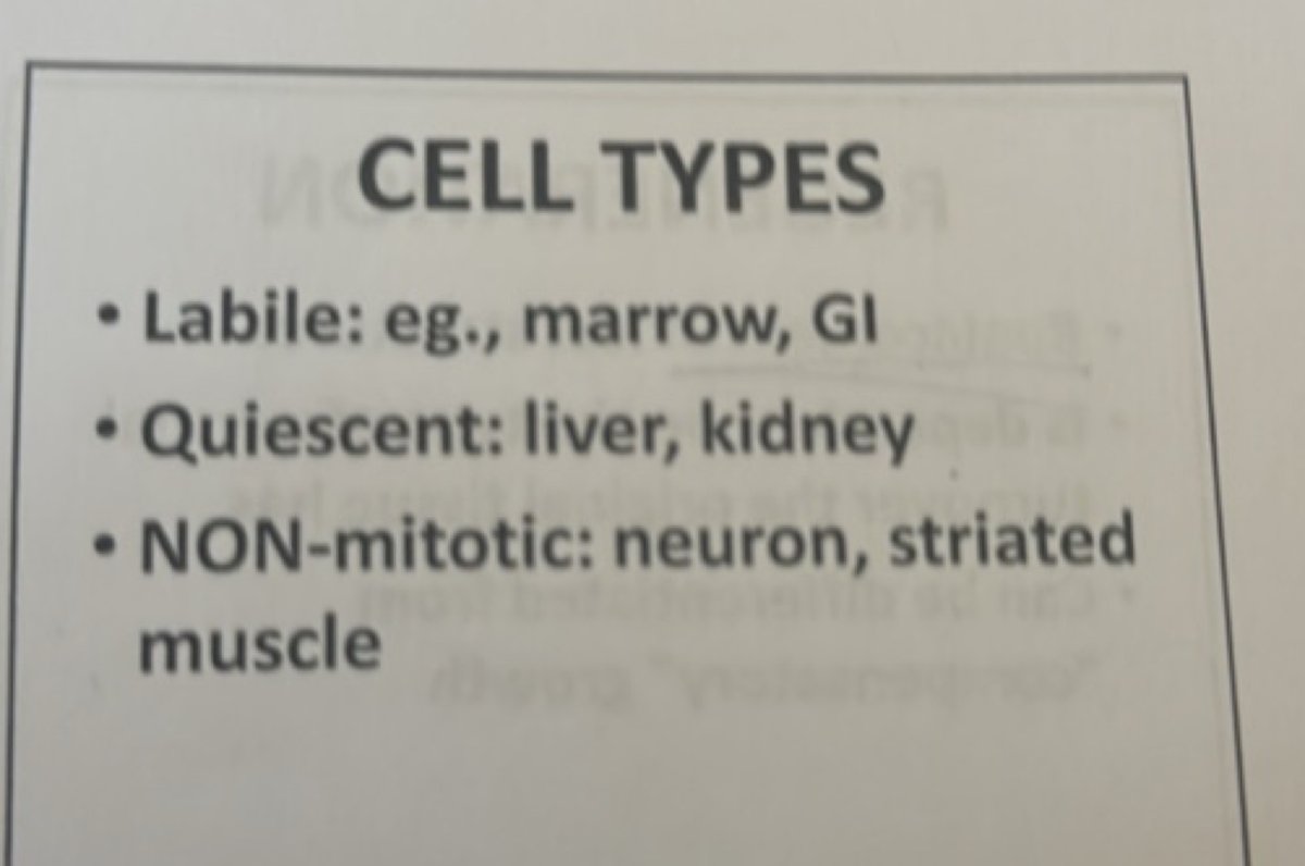 CELL TYPES Labile: eg., marrow, GI Quiescent: liver, kidney NON-mitotic:..