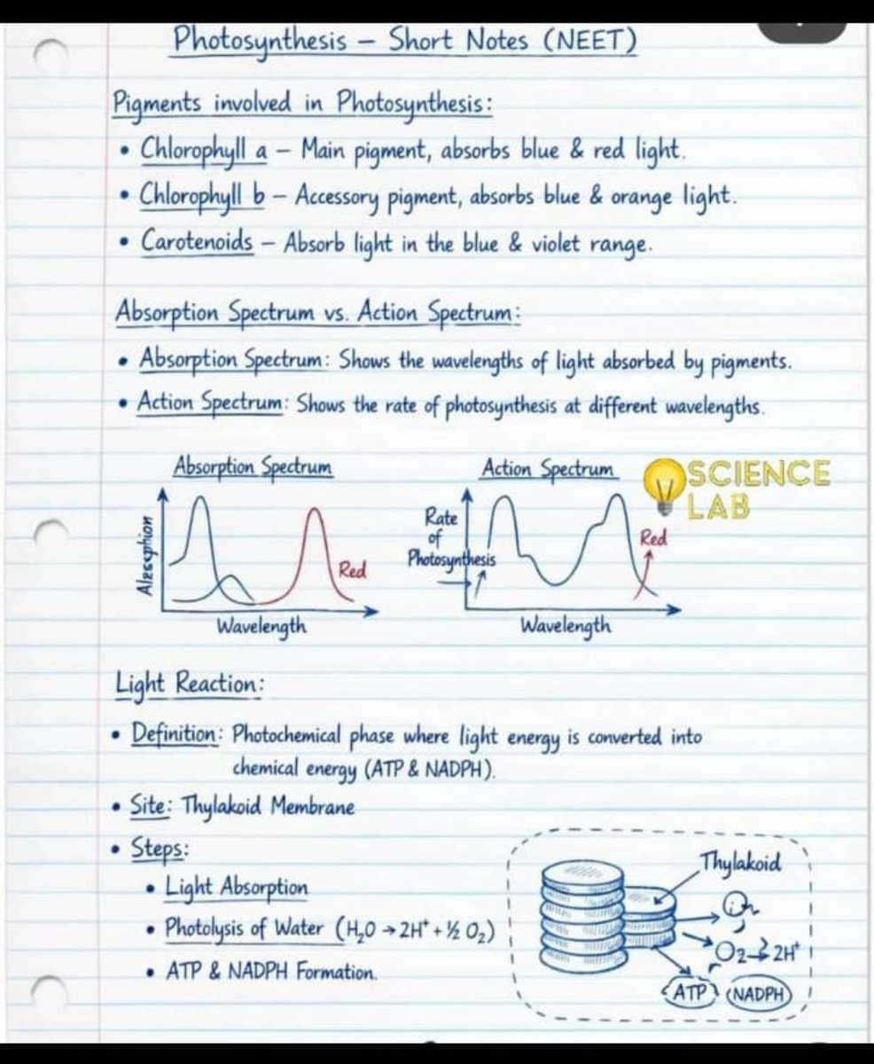 Photosynthesis - Short Notes (NEET) Pigments involved in Photosynthesis:..