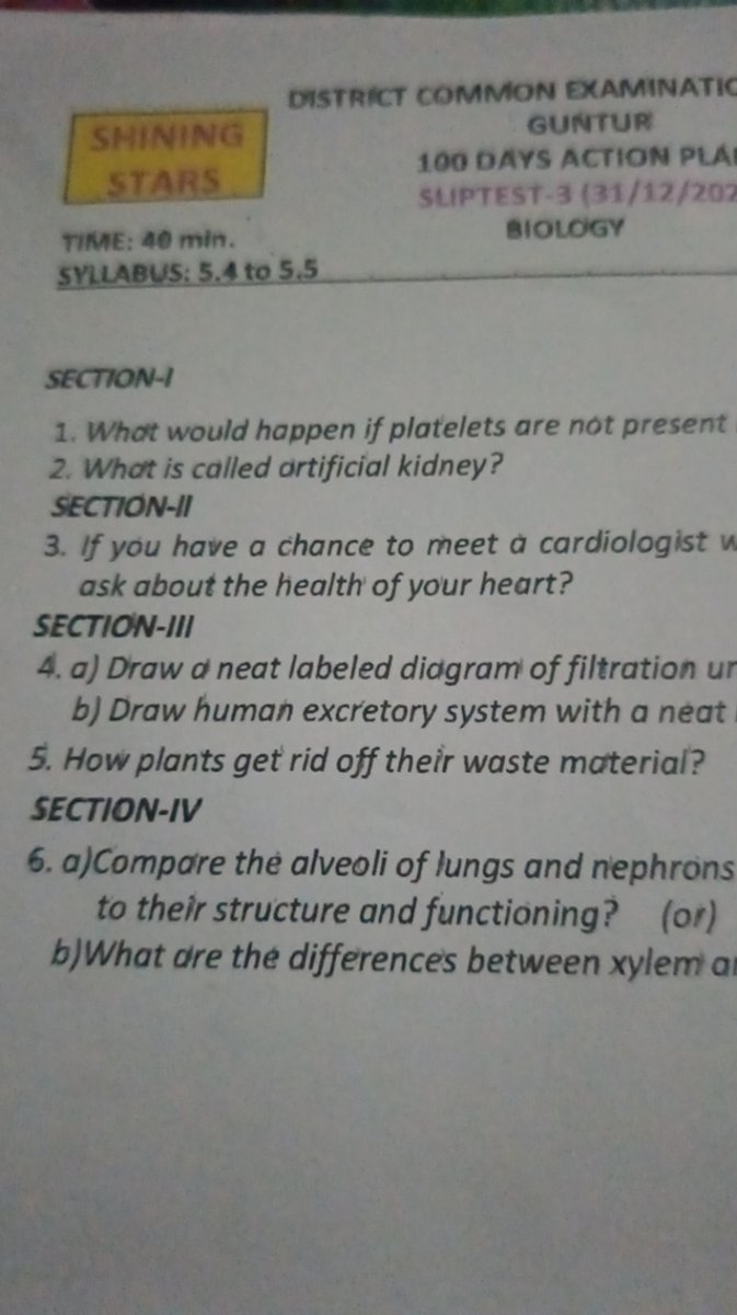 Here are the questions from the image: SECTION-I What would happen if pl..