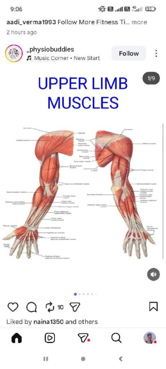 The image displays a diagram of the "UPPER LIMB MUSCLES". The user is lik..
