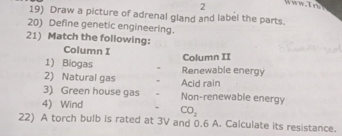 19) Draw a picture of adrenal gland and label the parts. 20) Define genet..