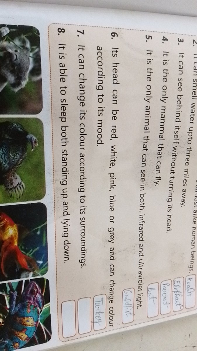 Here are some characteristics of animals. Match them with the correct ani..