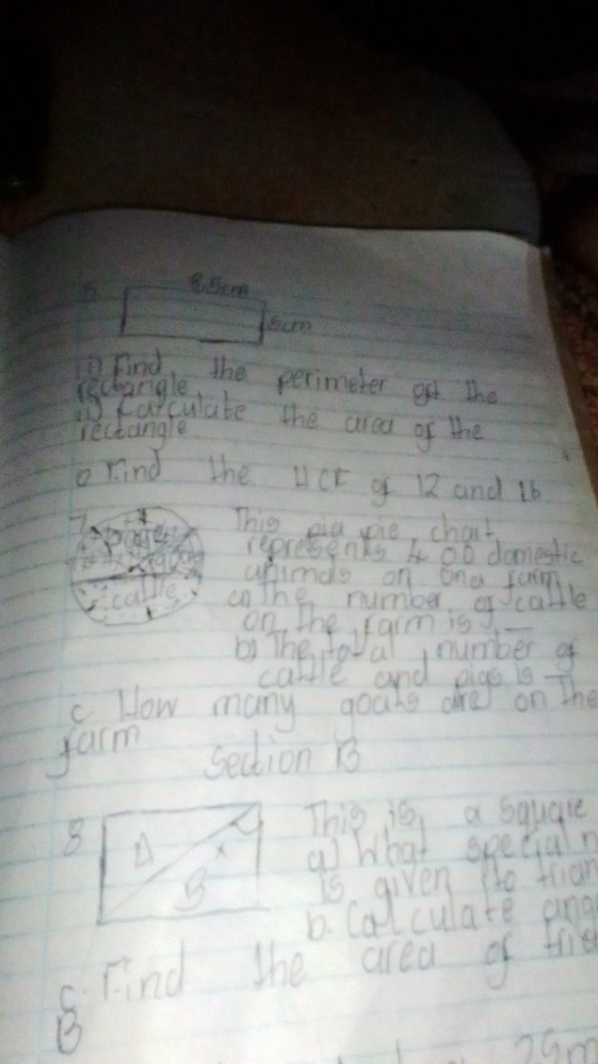 Reformatted Questions A rectangle has length 8.5 cm and width 5 cm. a...