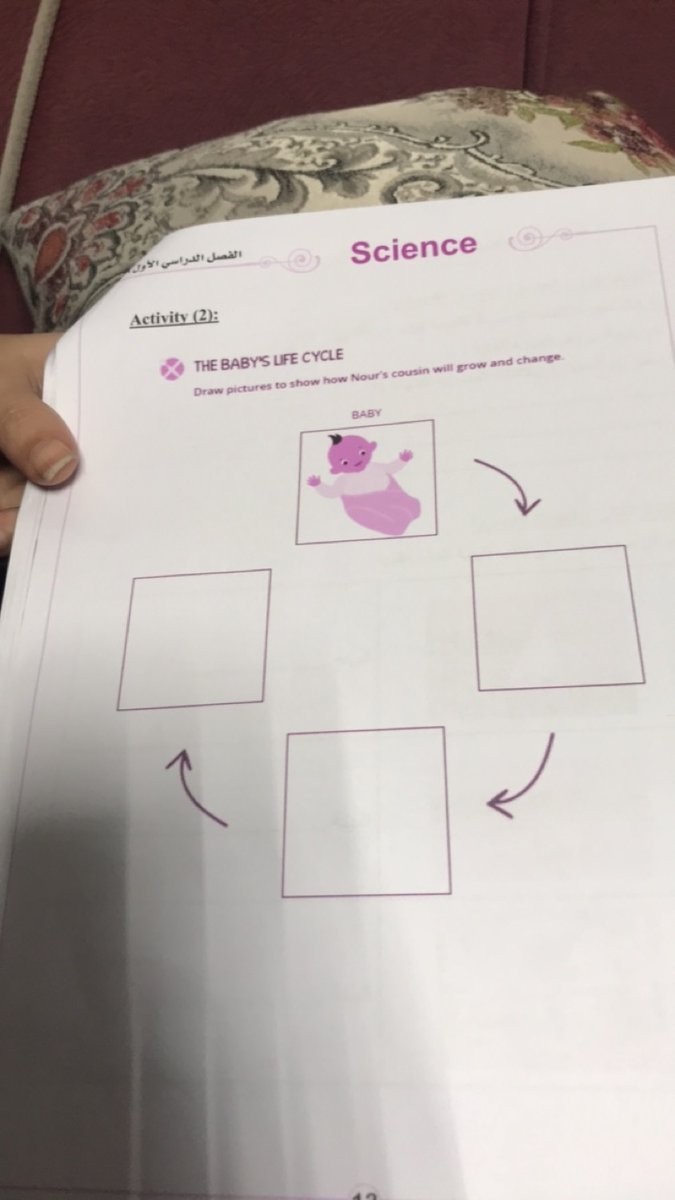Activity (2): THE BABY'S LIFE CYCLE Draw pictures to show how Nour's co..