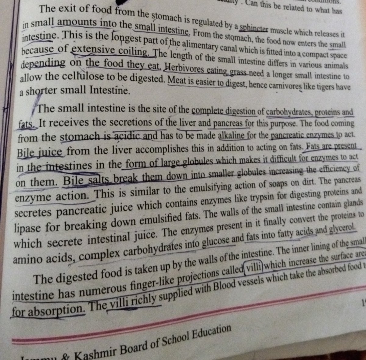 The provided text describes the process of digestion in the small intesti..