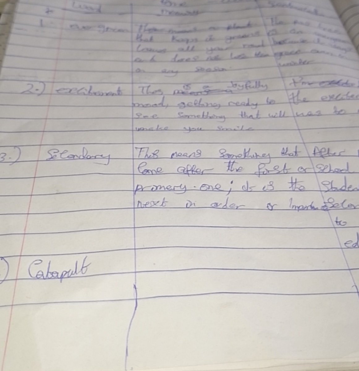 The user has provided an image containing a table with words and their me..