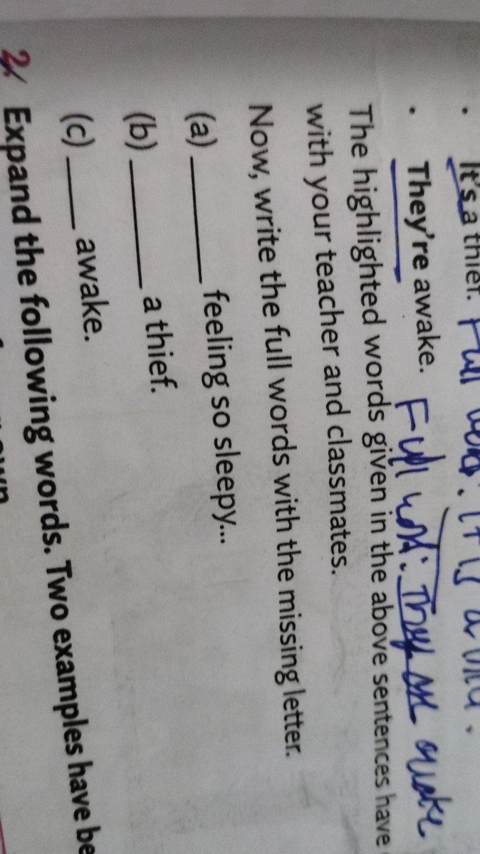 The highlighted words given in the above sentences have been discussed wi..