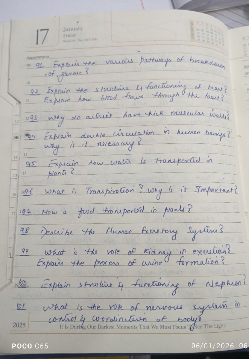 Here are a series of questions: Explain the various pathways of breakdow..
