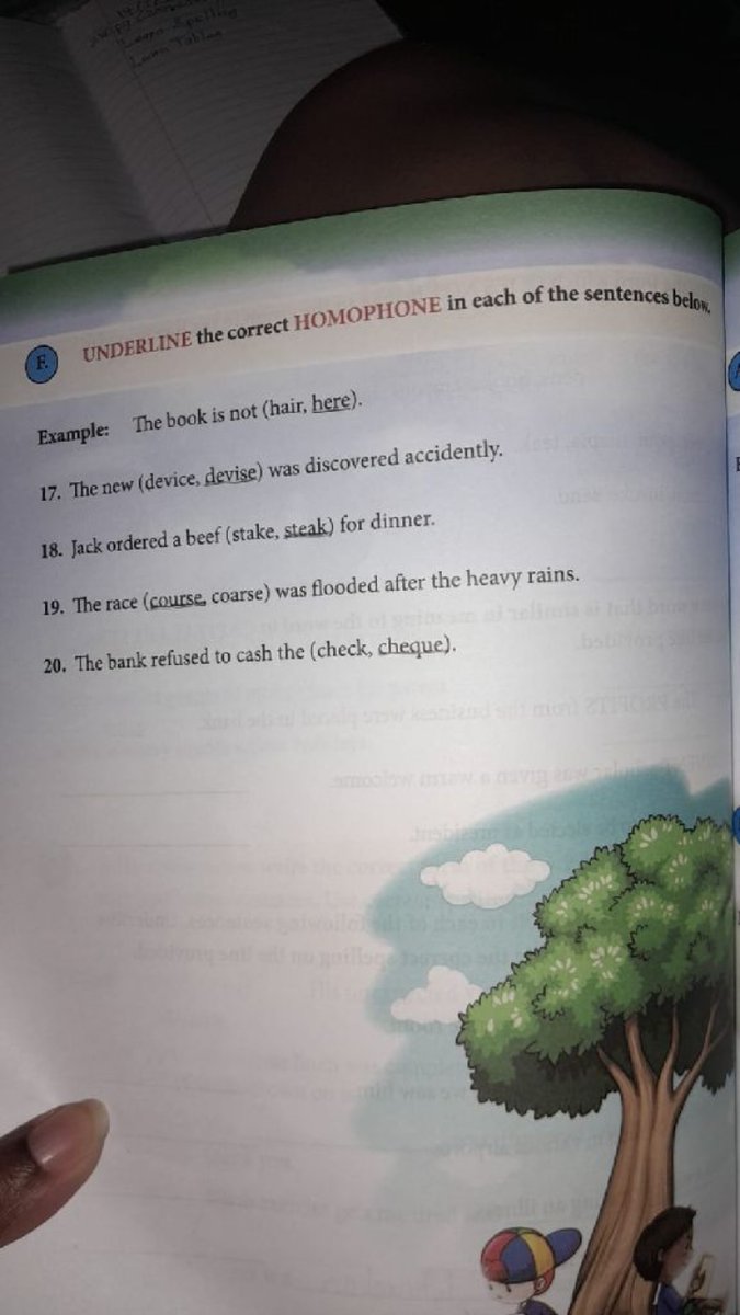 UNDERLINE the correct HOMOPHONE in each of the sentences below. Example:..