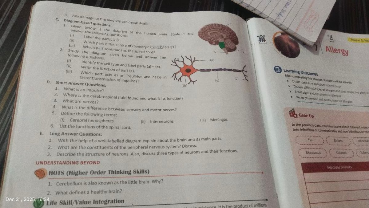 Here are the questions: C. Diagram-based questions: Given below is the d..