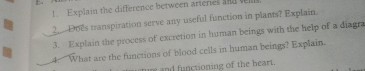Explain the process of excretion in human beings with the help of a diagr..