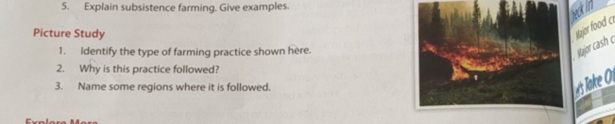 Explain subsistence farming. Give examples. Picture Study Identify the t..